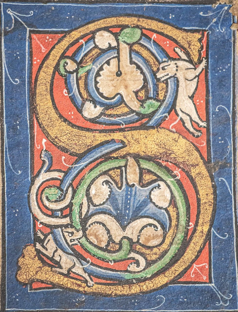 Illuminated Letters S