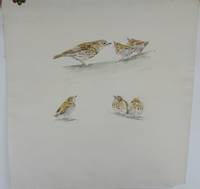 Dejah Thoris, Princess of Mars / original mixed media art by Butch ...