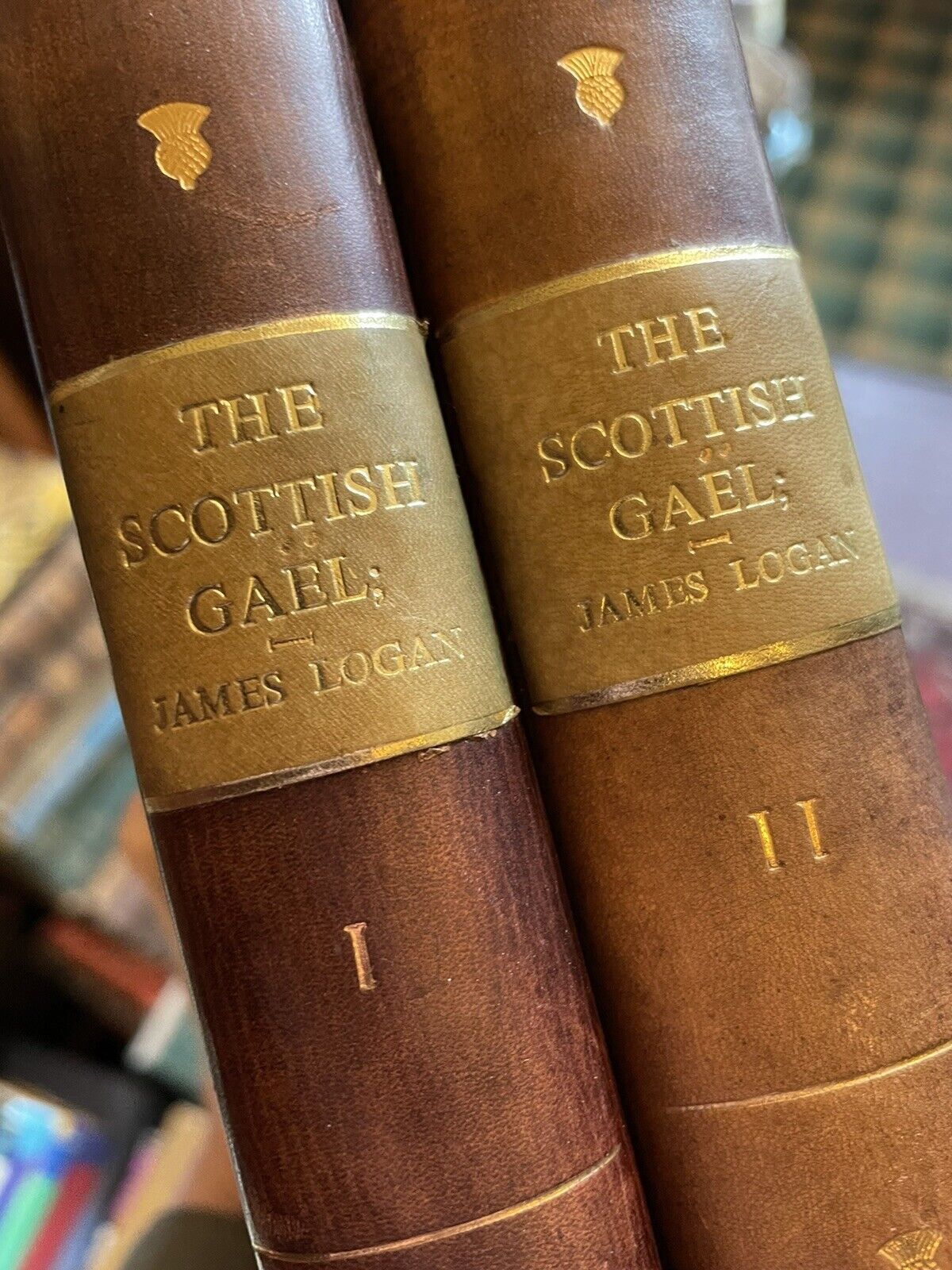 The Scottish Gael; or Celtic Manners as Preserved Among the Highlanders ...