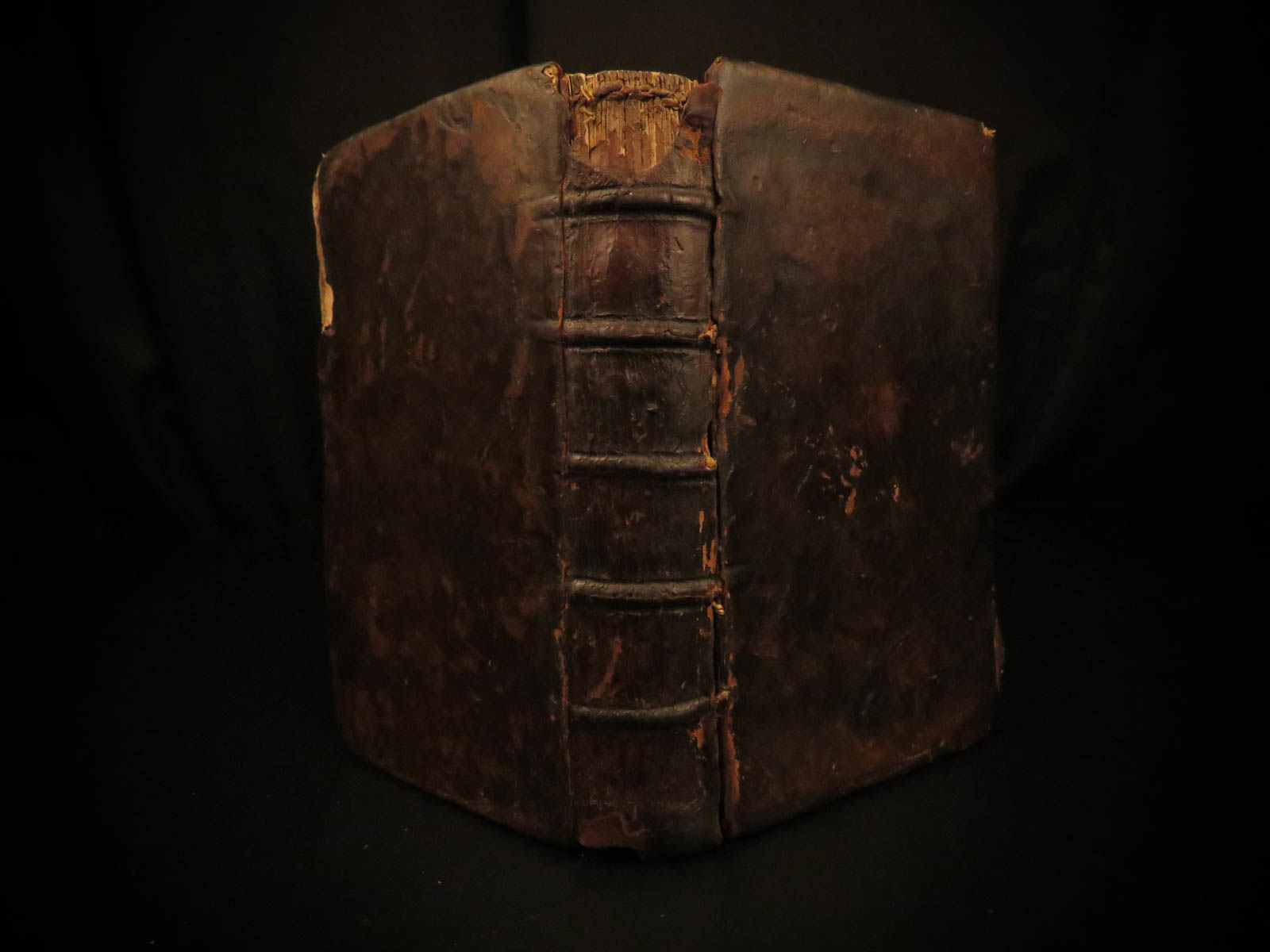 Novum Testamentum Domini nostri Jesu Christi: interprete Theodoro Beza ...