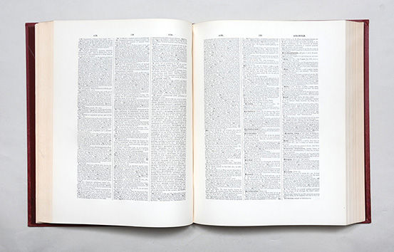 A New English Dictionary on Historical Principles; by (OXFORD ENGLISH ...