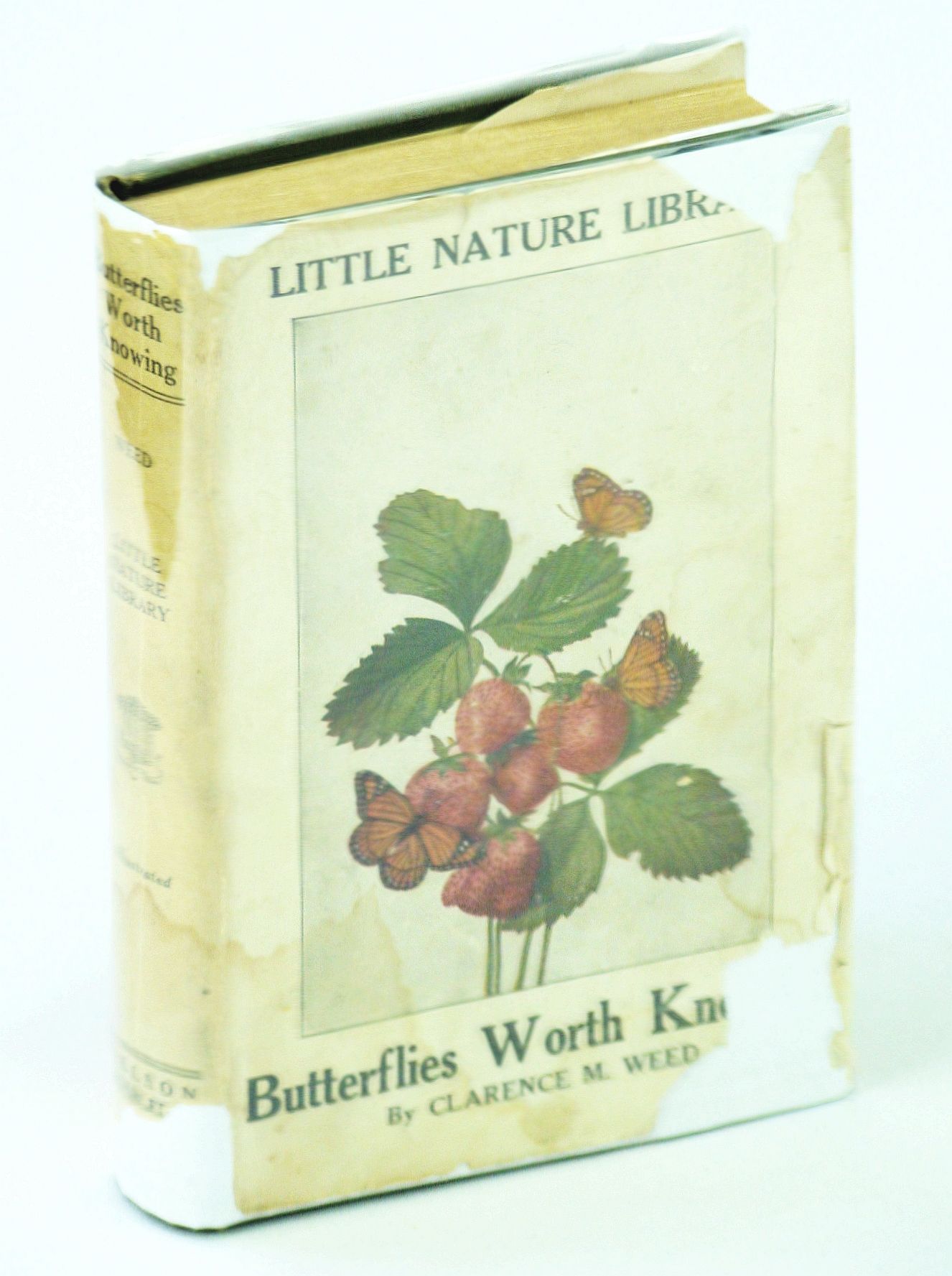 Butterflies Worth Knowing - Little Nature Library by Weed, Clarence M ...