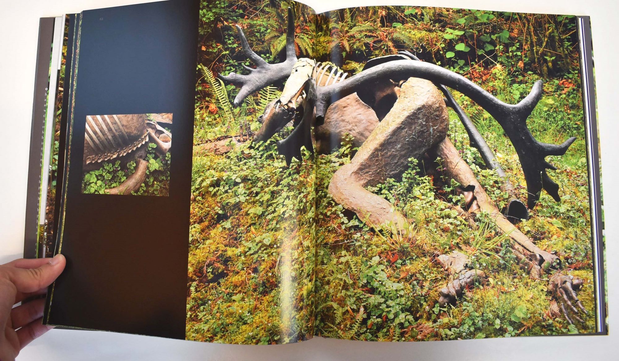 Sculpture Woods: Studio Grounds of Ann Morris by Lindberg, Ted and Jake Seniuk | Hardcover ...