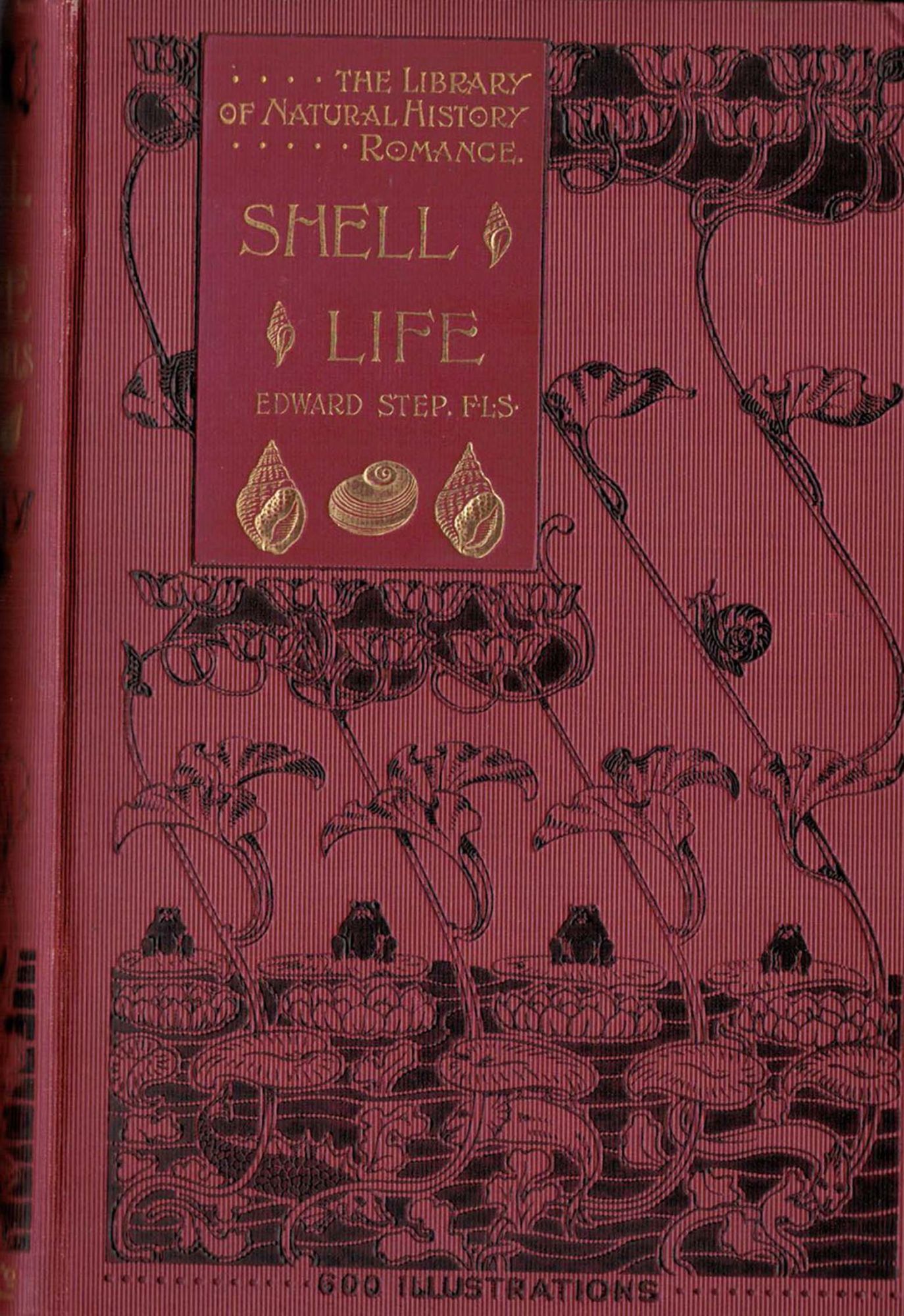 BIBLIO | Shell Life an Introduction To The British Mollusca by Step ...