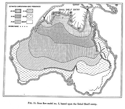 Some implications of the genetical concept of race in terms of spatial ...