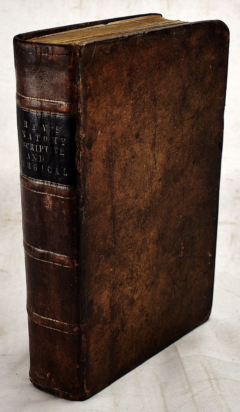 Gray's Anatomy, descriptive and surgical by Henry Gray; H V Carter ...