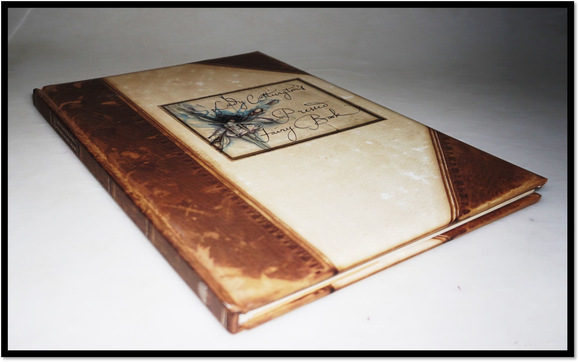 Lady Cottington's Pressed Fairy Book by Jones, Terry | A Fine Hardcover ...