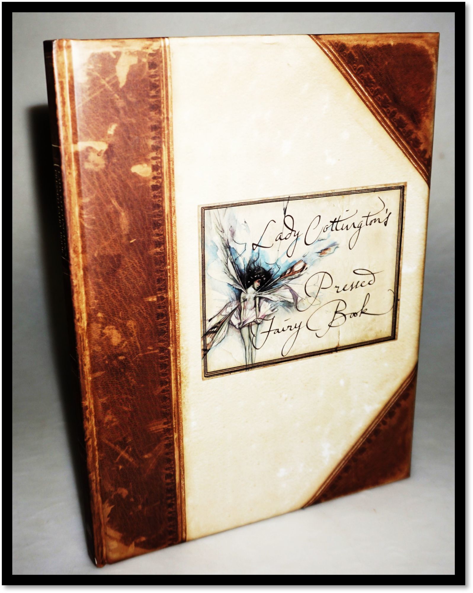 Lady Cottington's Pressed Fairy Book by Jones, Terry | A Fine Hardcover ...