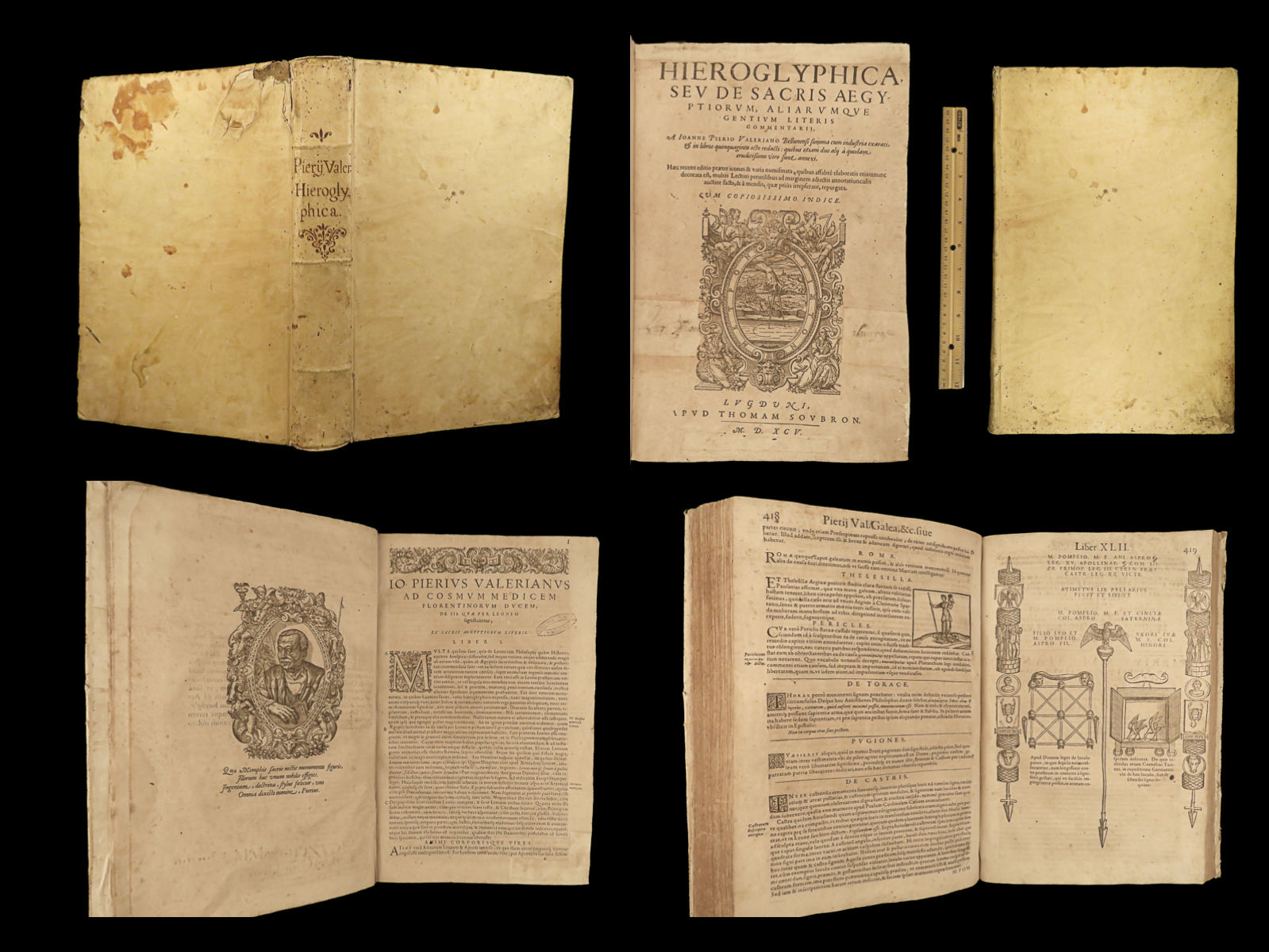 Hieroglyphica, sev De sacris Aegyptiorvm, aliarv́mqve gentium literis ...