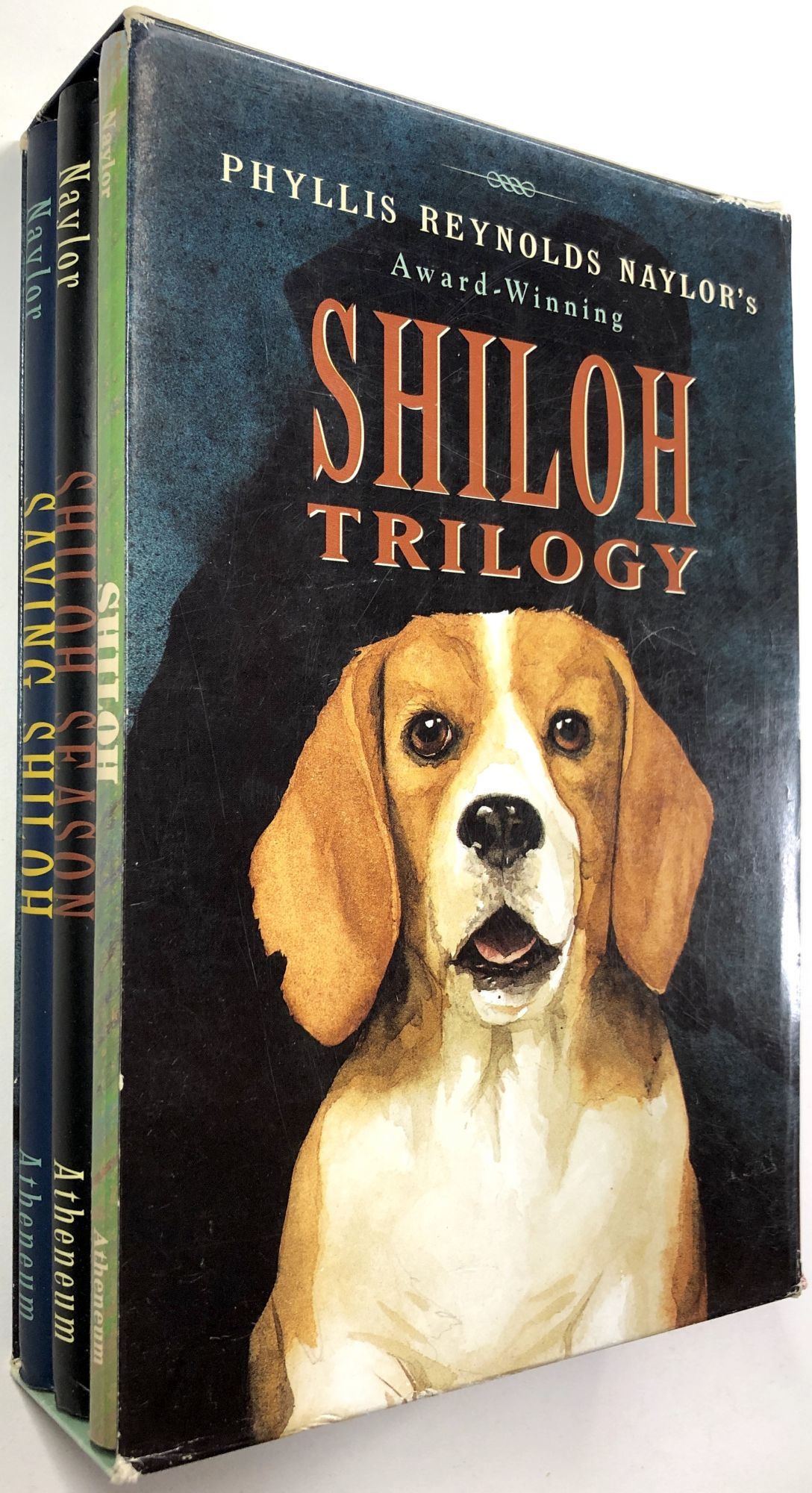 Shiloh Book