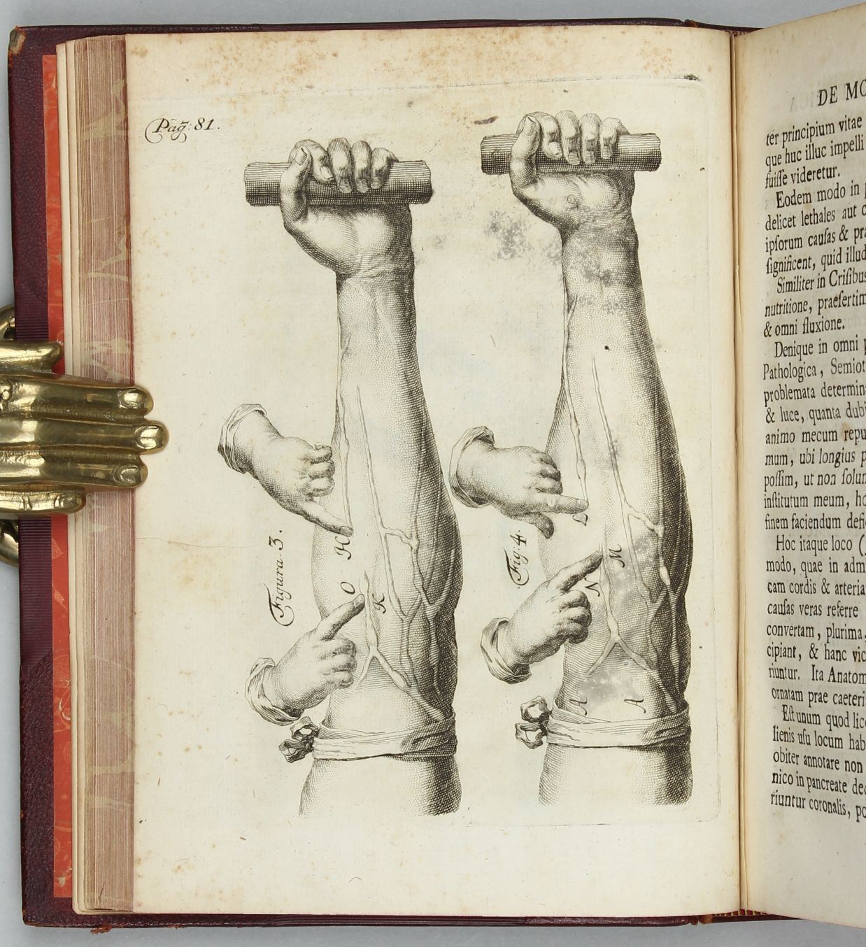 Exercitatio Anatomica De Motu Cordis Et Sanguinis In Animalibus
