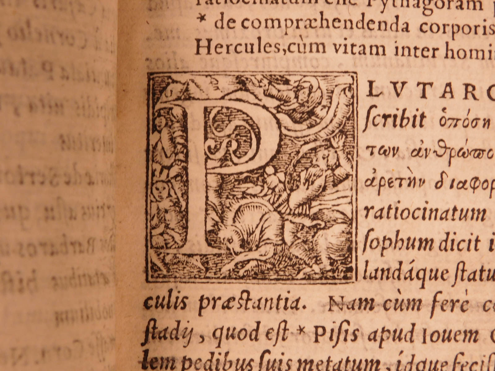 A. Gellii, luculentissimi scriptoris, Noctes atticae. by GELLIUS, Aulus ...