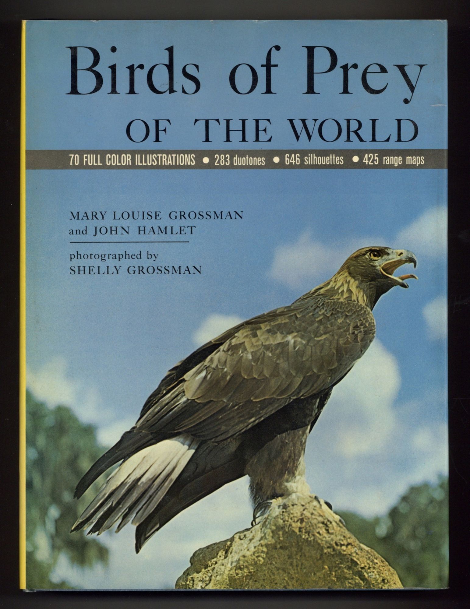 Birds Of Prey Of The World by GROSSMAN, Mary Louise and John Hamlet ...