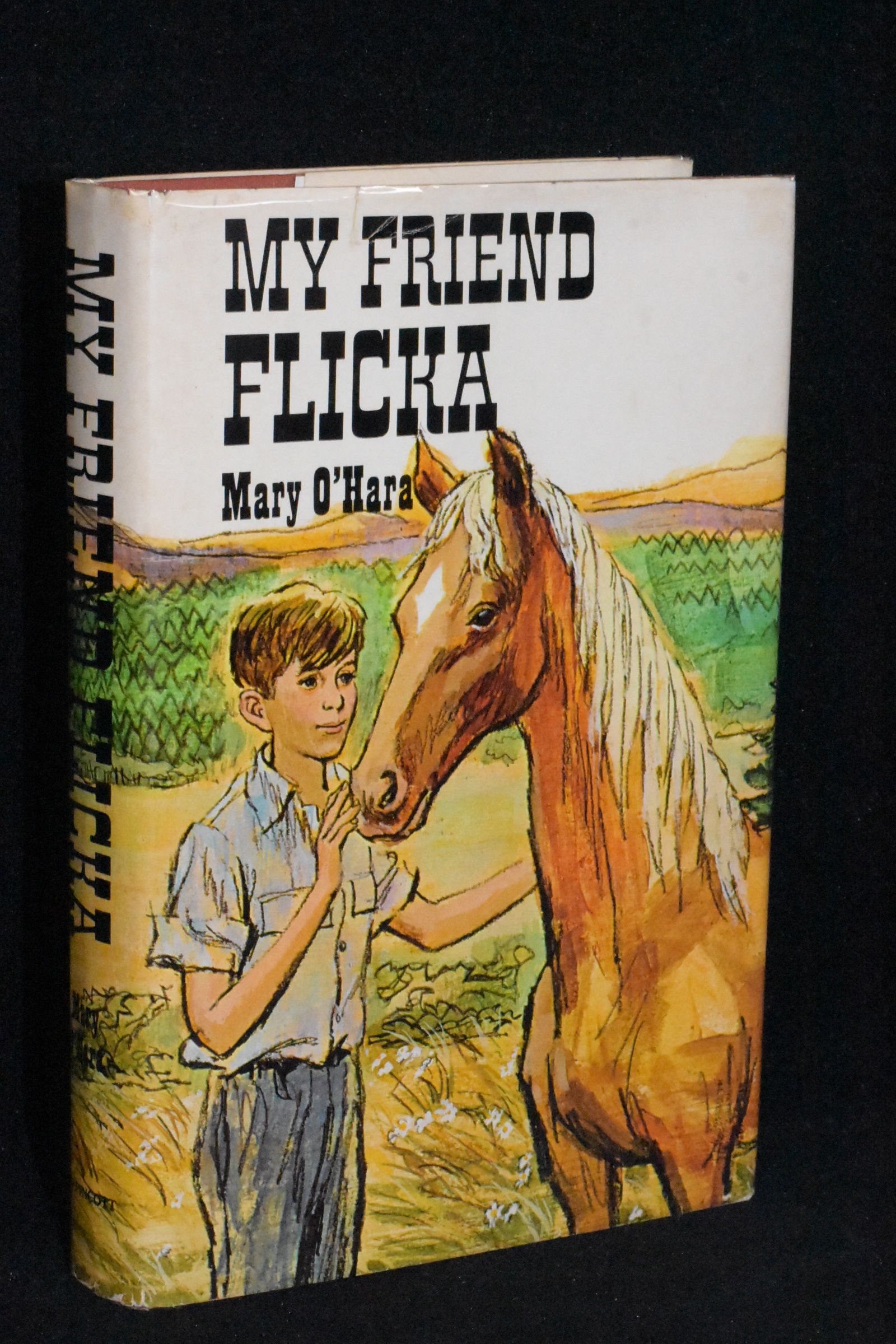 Flicka The Book