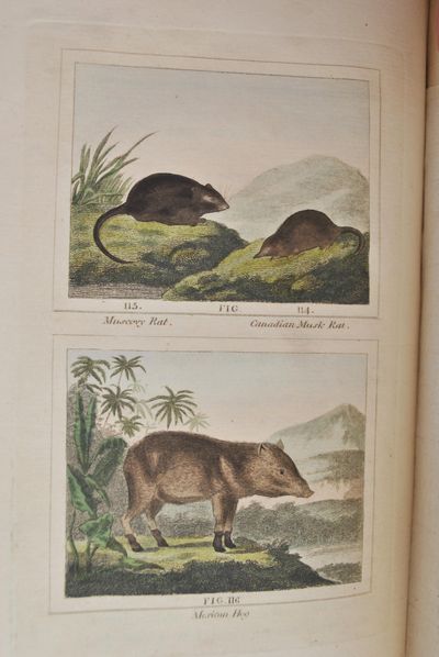 Barr's Buffon. Buffon's Natural History, Containing a Theory of the ...