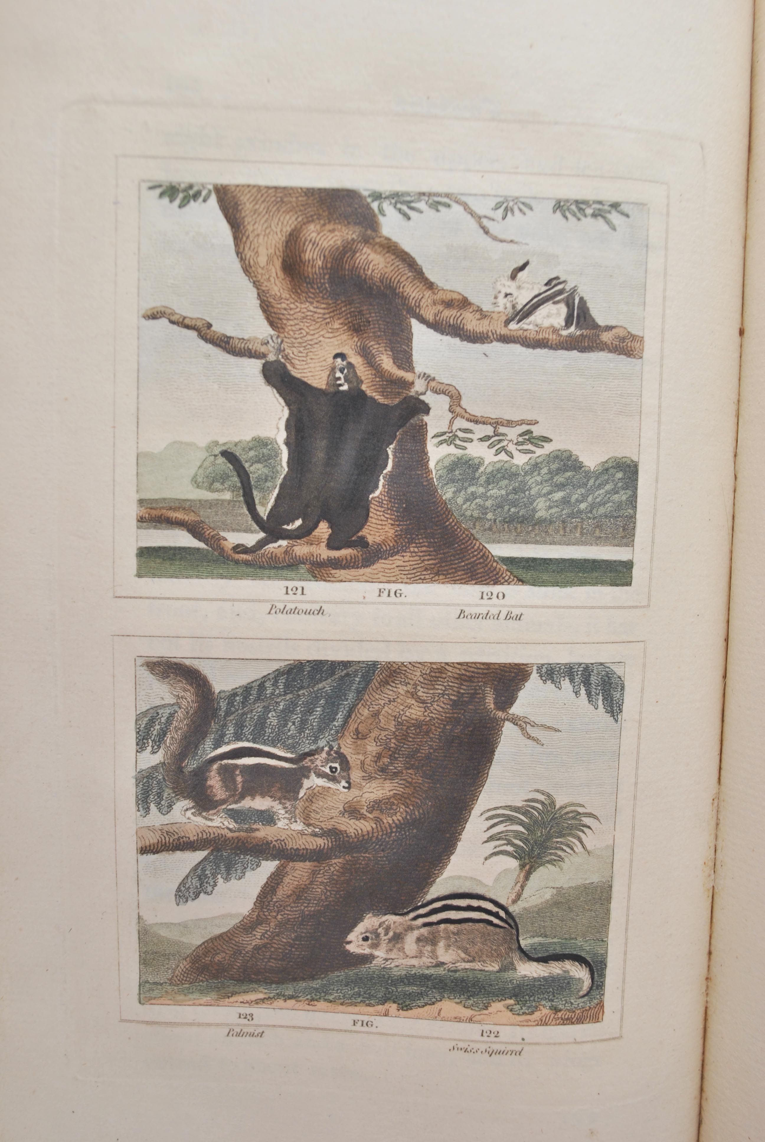 Barr's Buffon. Buffon's Natural History, Containing a Theory of the ...