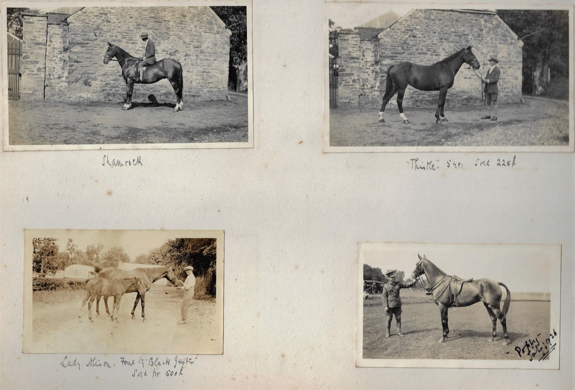 Photograph Albums of Major Pascoe William Grenfell Stuart-French ...