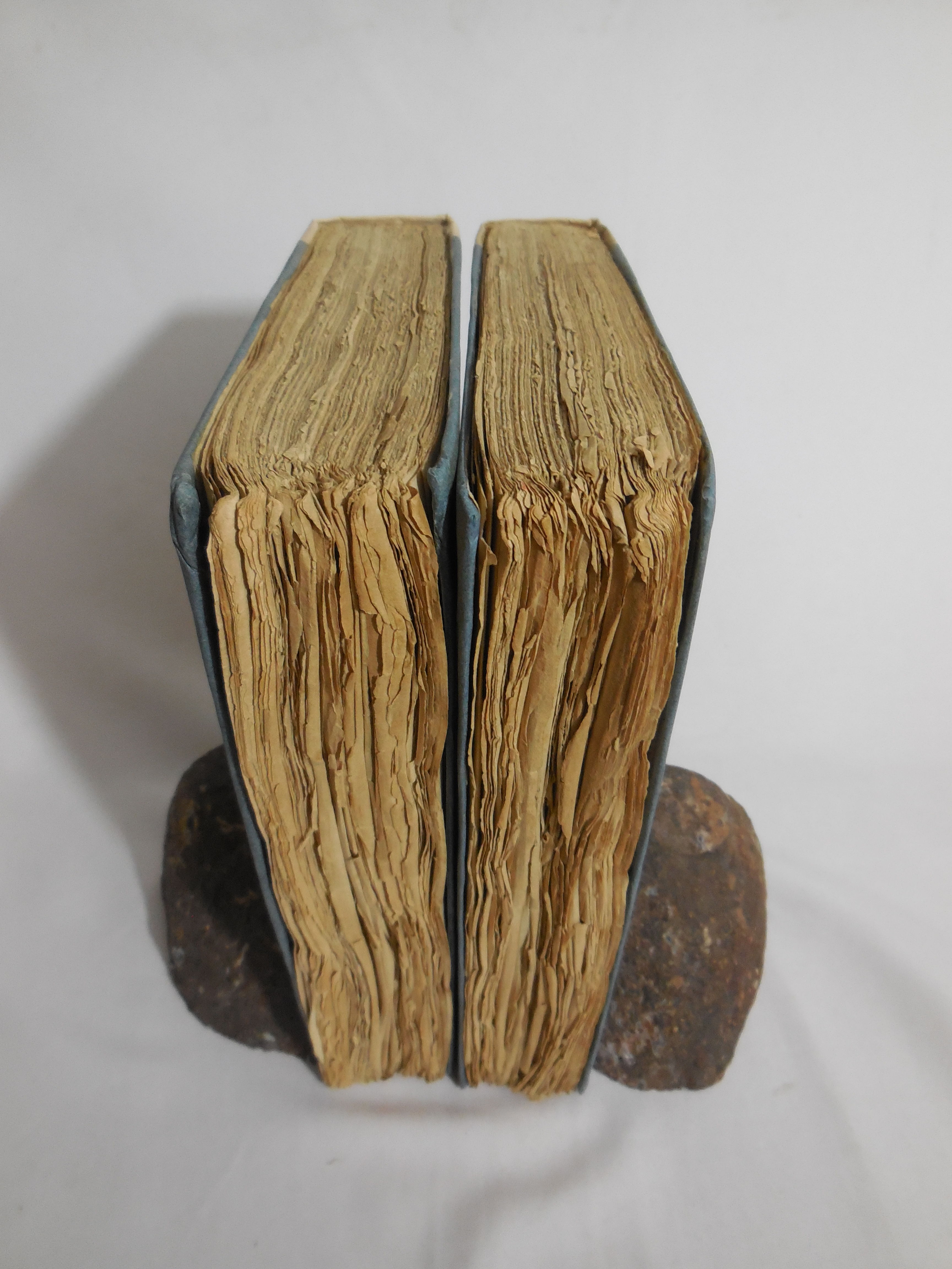 Voyages Made in the Years 1788 and 1789 from China to the N.W. Coast of ...