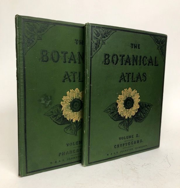 The Botanical Atlas: a Guide to the Practical Study of Plants ...