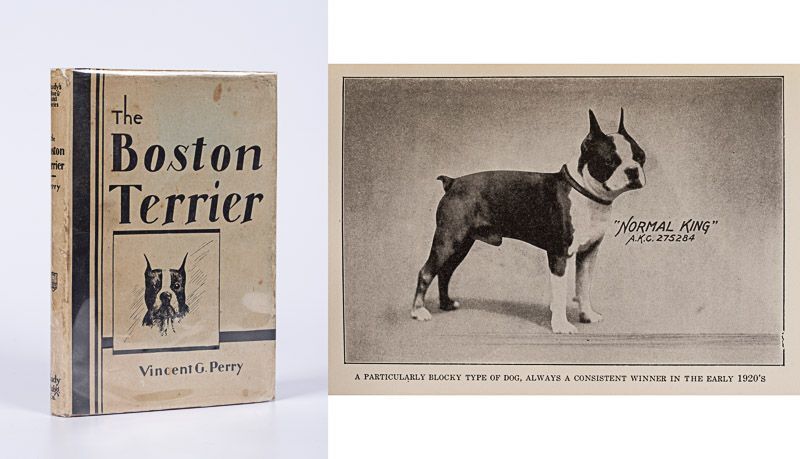BIBLIO | The Boston Terrier. by Perry, Vincent G | | 1928