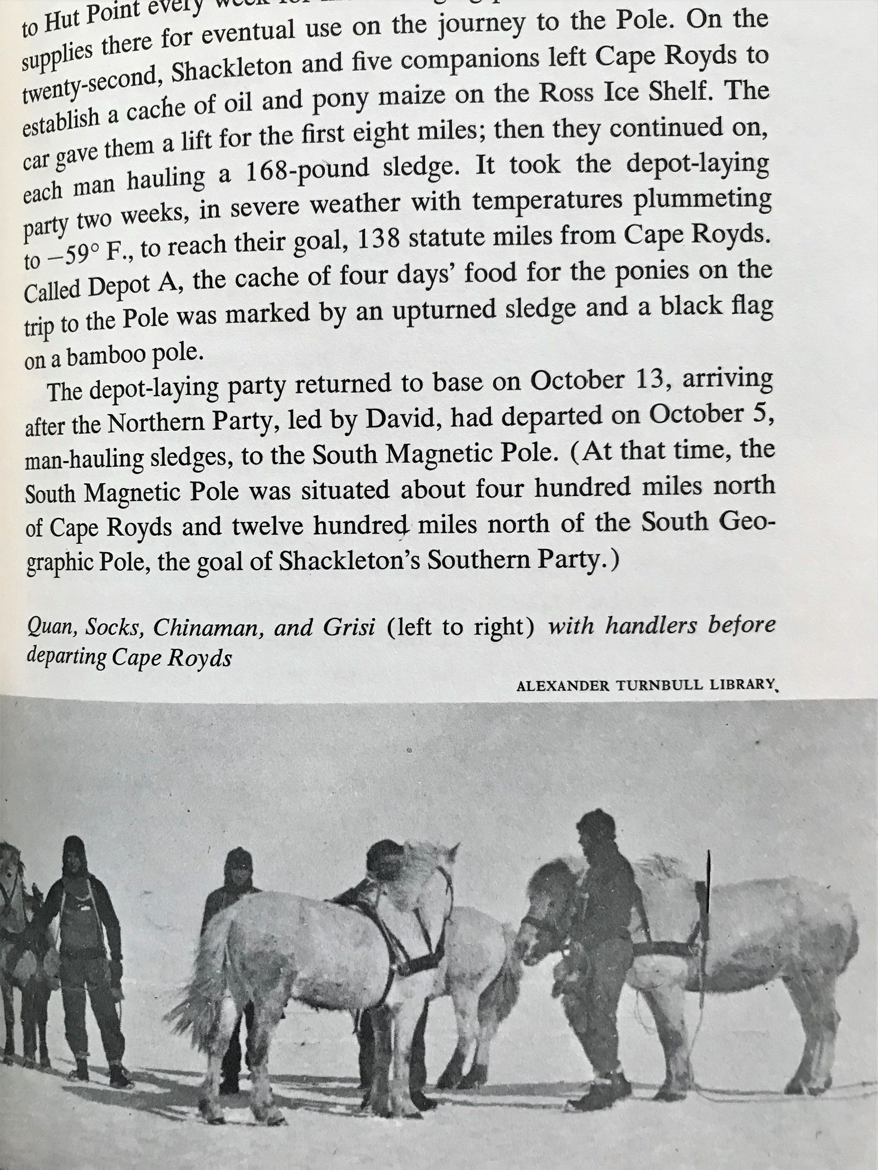 The South Pole Ponies by Theodore K. Mason | Full cloth | 1979 | Dodd, Mead | 9780396077299 | Biblio
