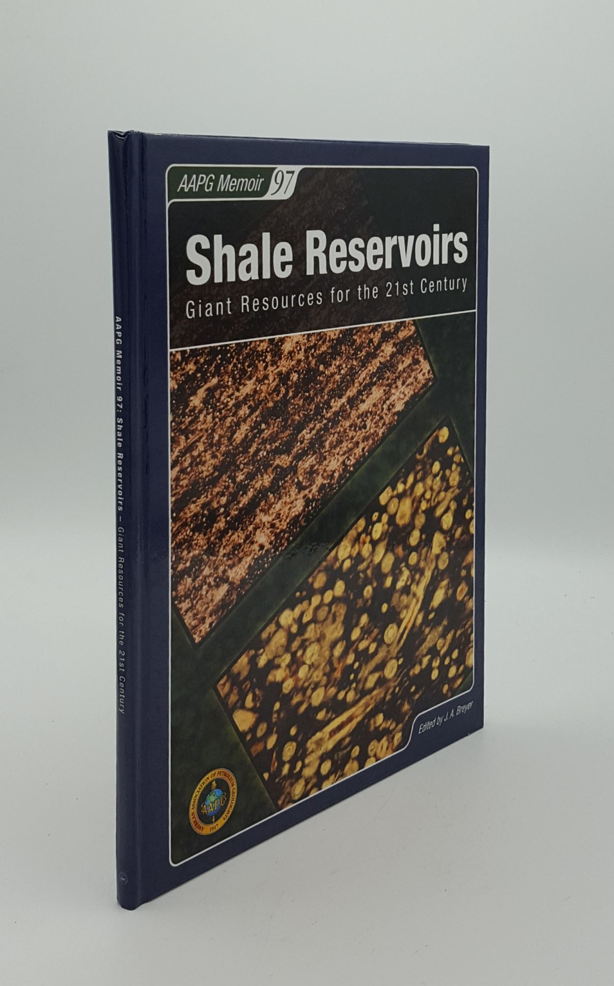 SHALE RESERVOIRS Giant Resources for the 21st Century AAPG Memoir 97 by ...