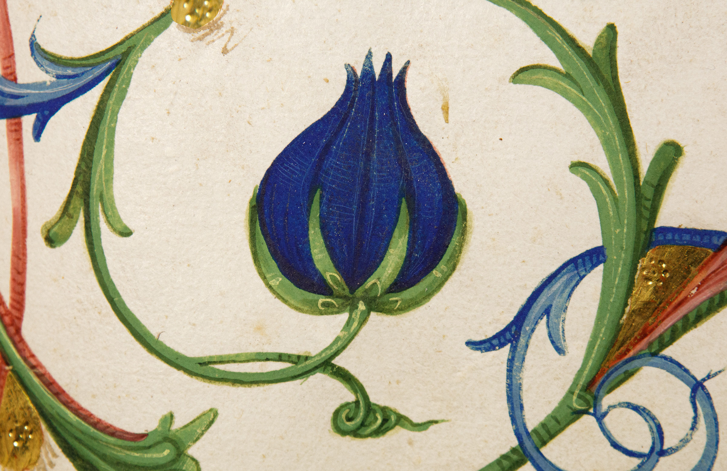 Vitae sanctorum patrum, sive Vitas patrum. [with] De laude et effectu ...