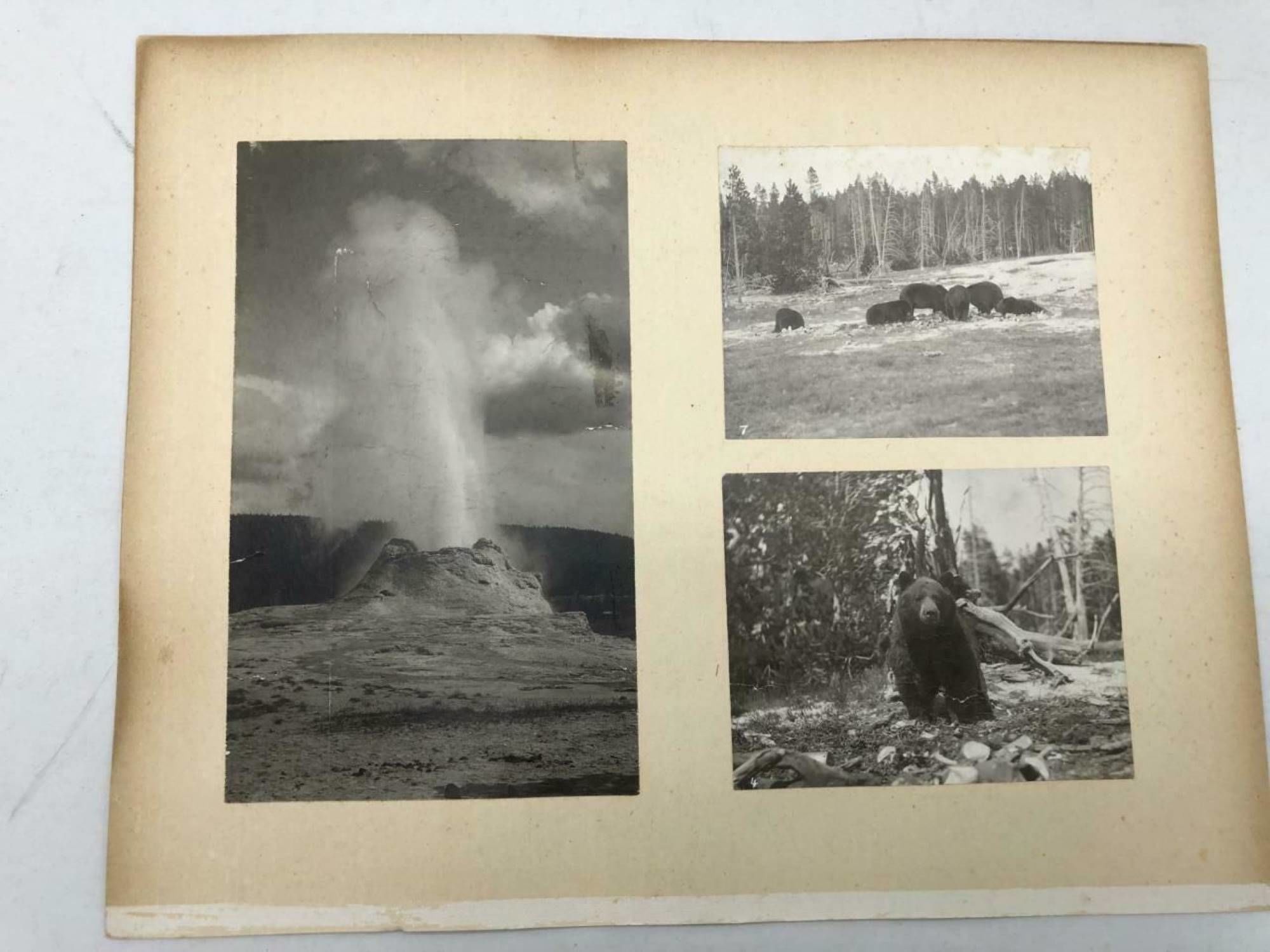 Four Photographs Yellowstone National Park by Frank Jay Haynes by ...