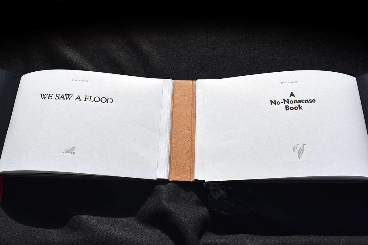 We Saw A Flood - A no-Nonsense Book. by Hagner, Dirk] | | 2022 ...