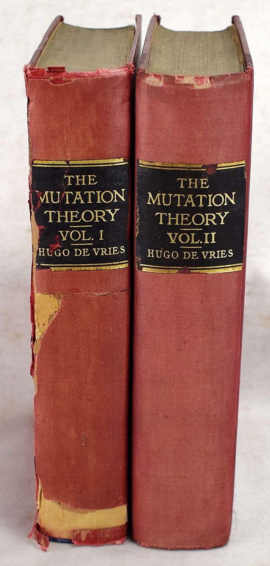 Hugo De Vries Mutation Theory