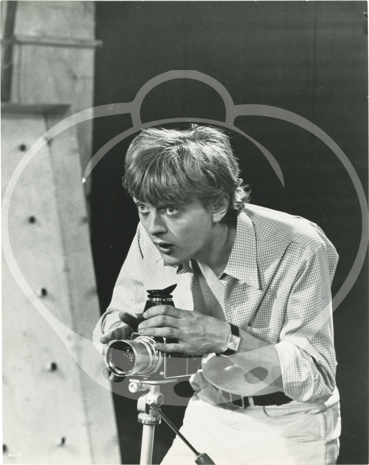 Blow-Up (Collection of 20 original photographs from the 1966 film) by ...