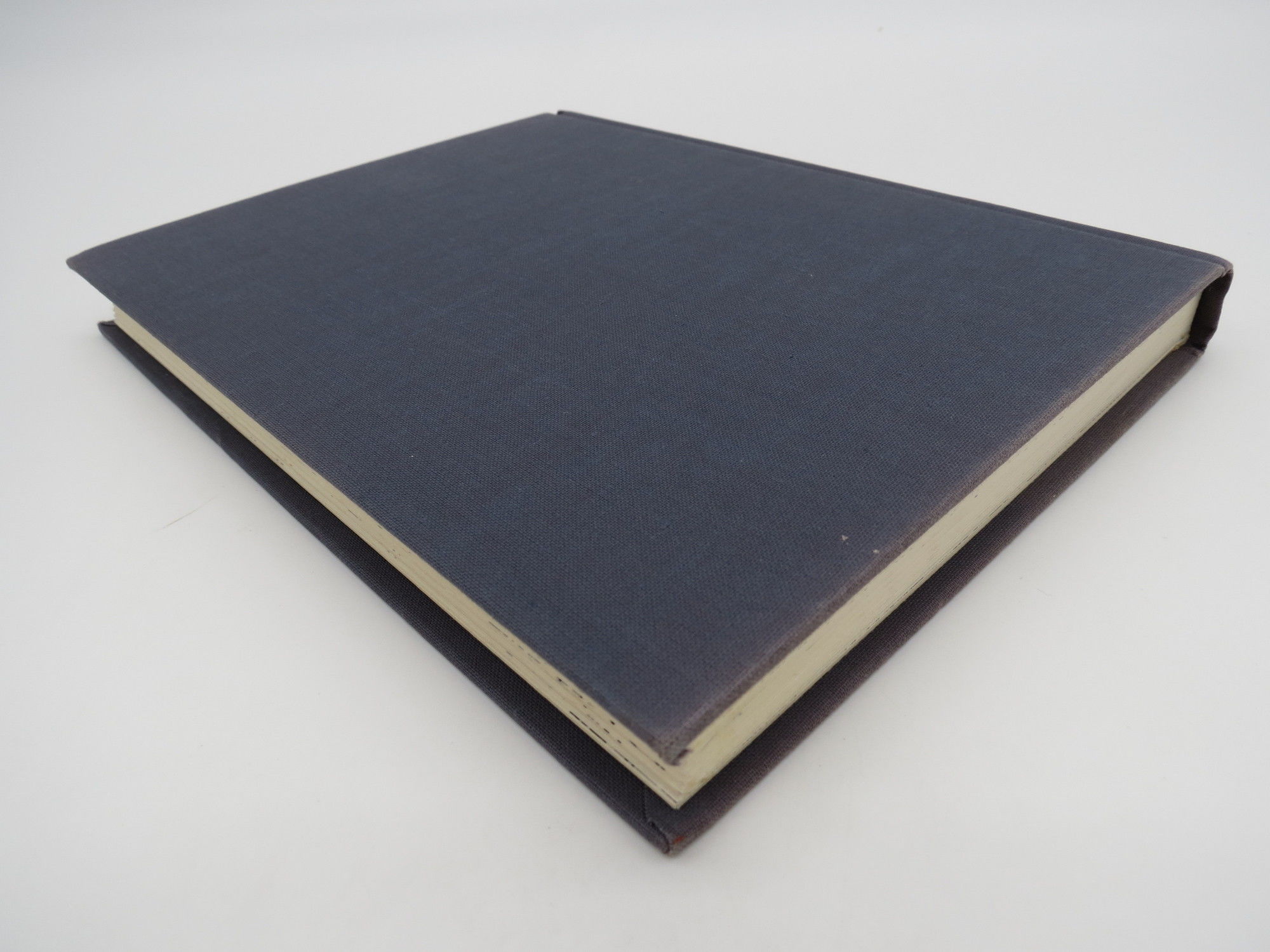 A LIGHT IN THE ATTIC (DJ Protected by a Brand New, Clear, Acid-Free ...