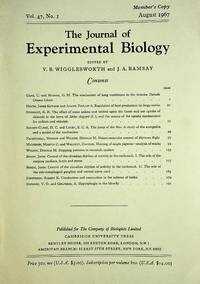 The jump of the flea: A study of the energetics and a model of the ...