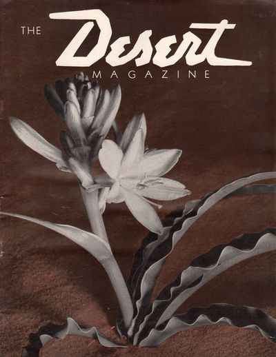 The Desert Magazine: Volume 14, Number 5, March 1951 by Henderson ...