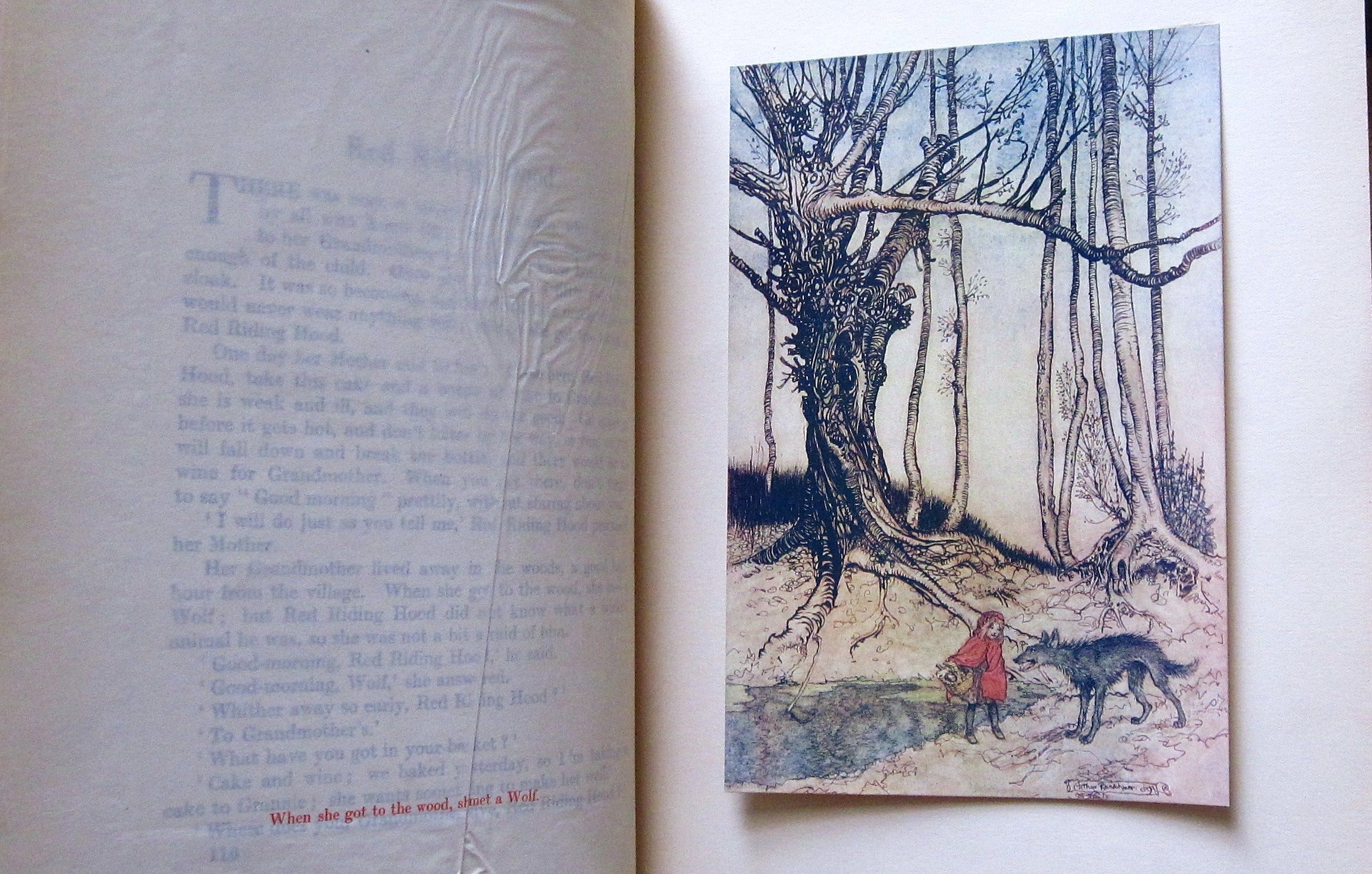 The Fairy Tales of the Brothers Grimm Illustrated by Arthur Rackham ...