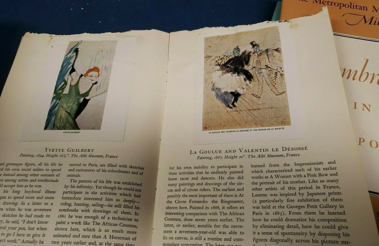 The Metropolitan Museum of Art Miniatures Album L by Metropolitan ...