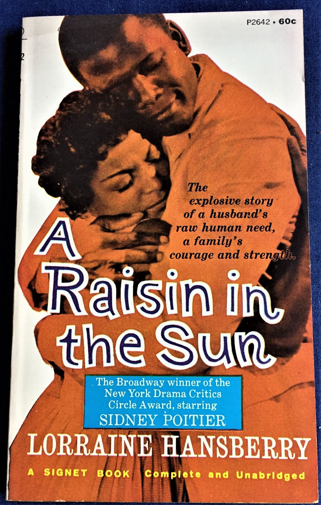 A Raisin In The Sun Book