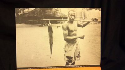 ASSIGNMENT SAFARI; A NEWSPAPER REPORTER IN AFRICA by WALLACE TABER ...