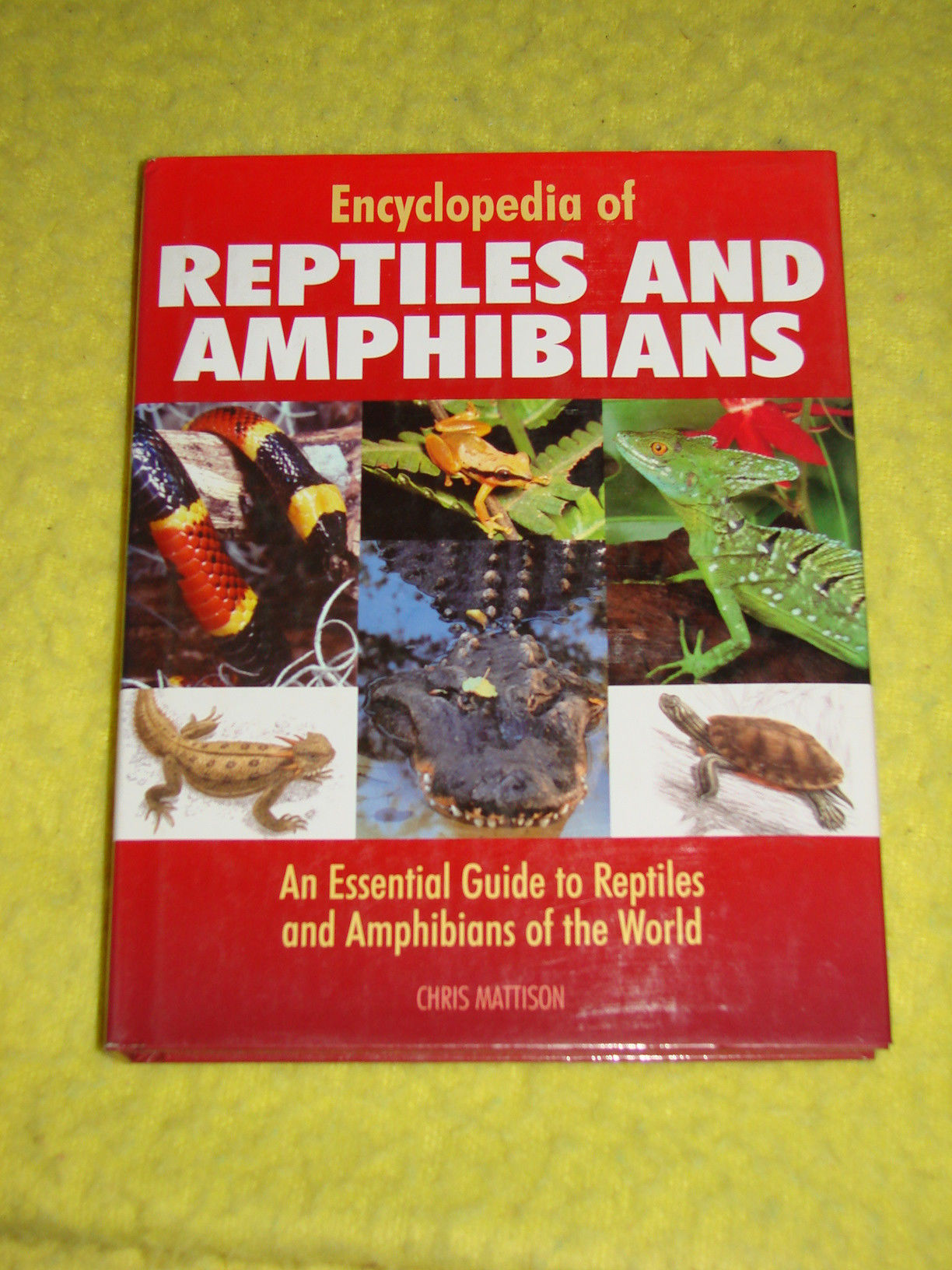 Encyclopedia of Reptiles and Amphibians. by Chris Mattison | Hardcover ...