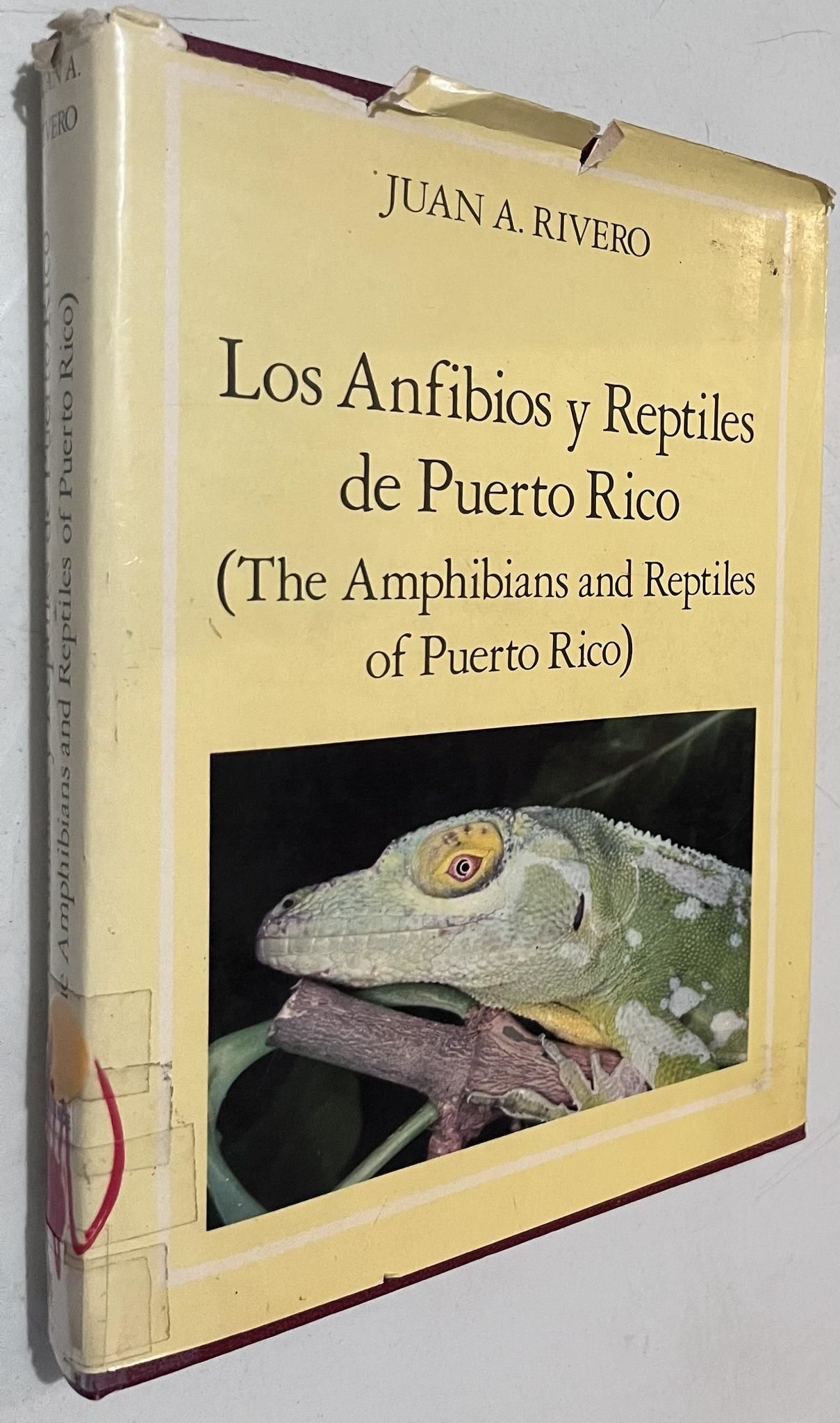 Anfibios Y Reptiles