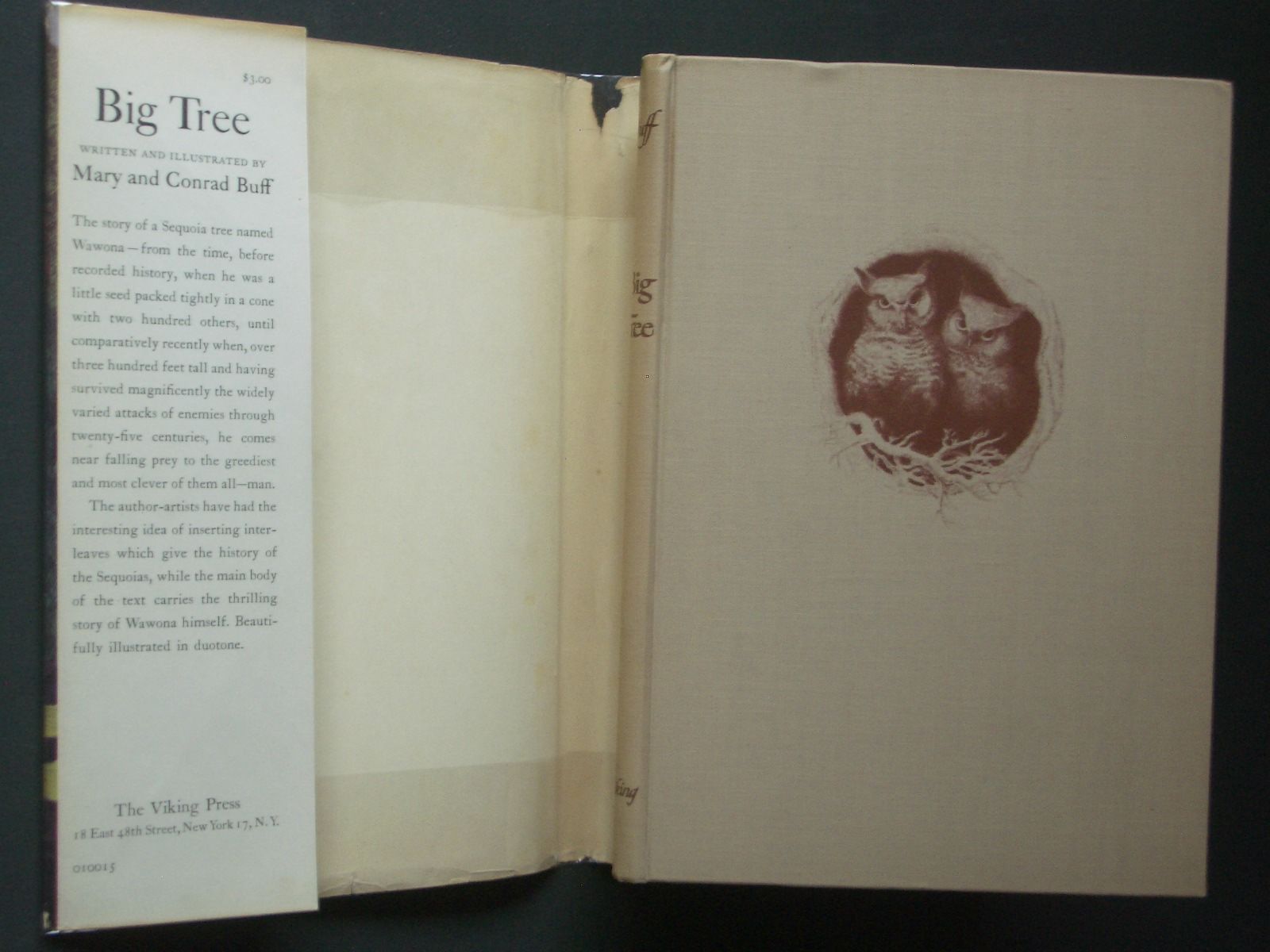 Big Tree by Buff, Mary & Conrad | Hardcover | 1946 | Viking Press | Biblio