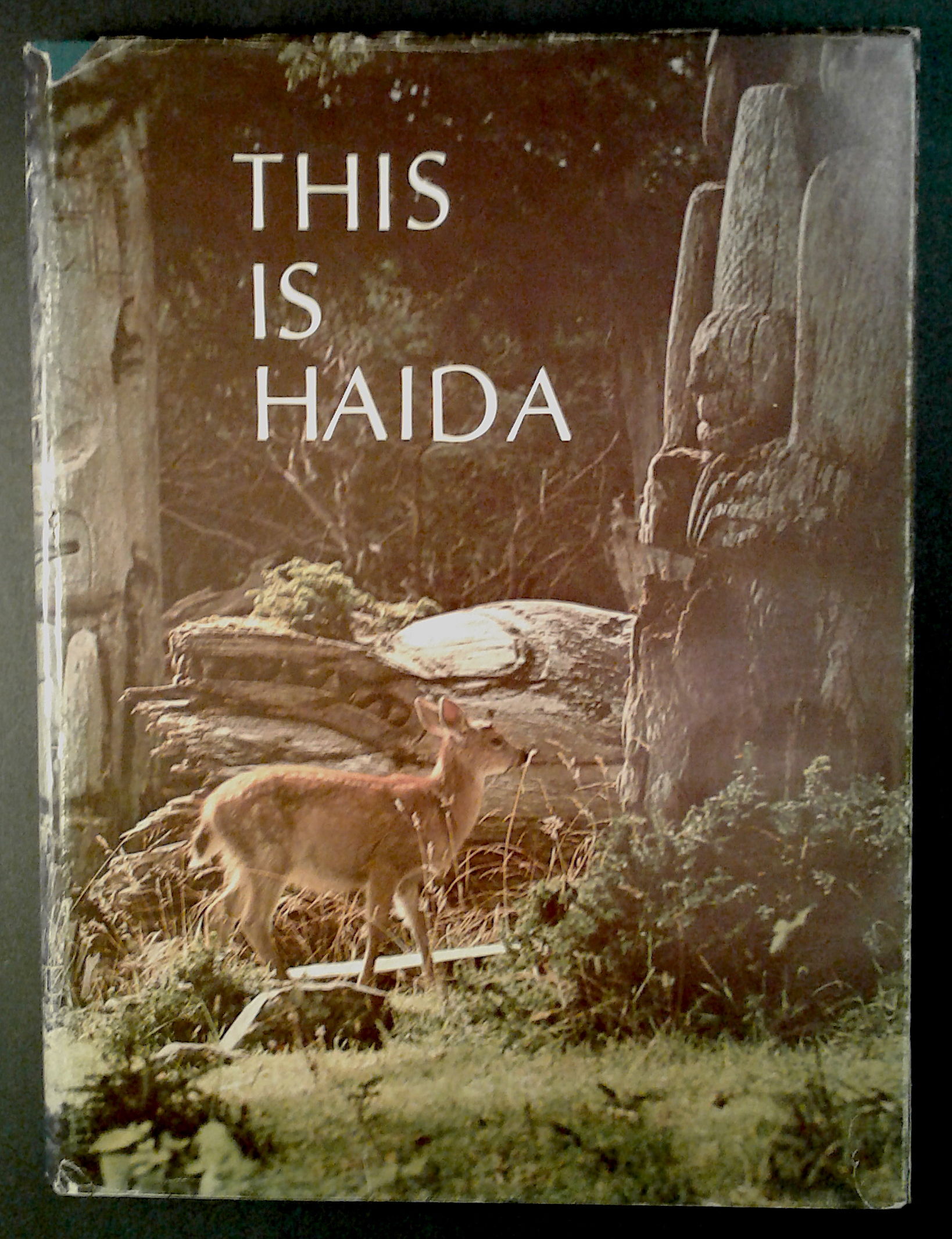 Original Haida Deer