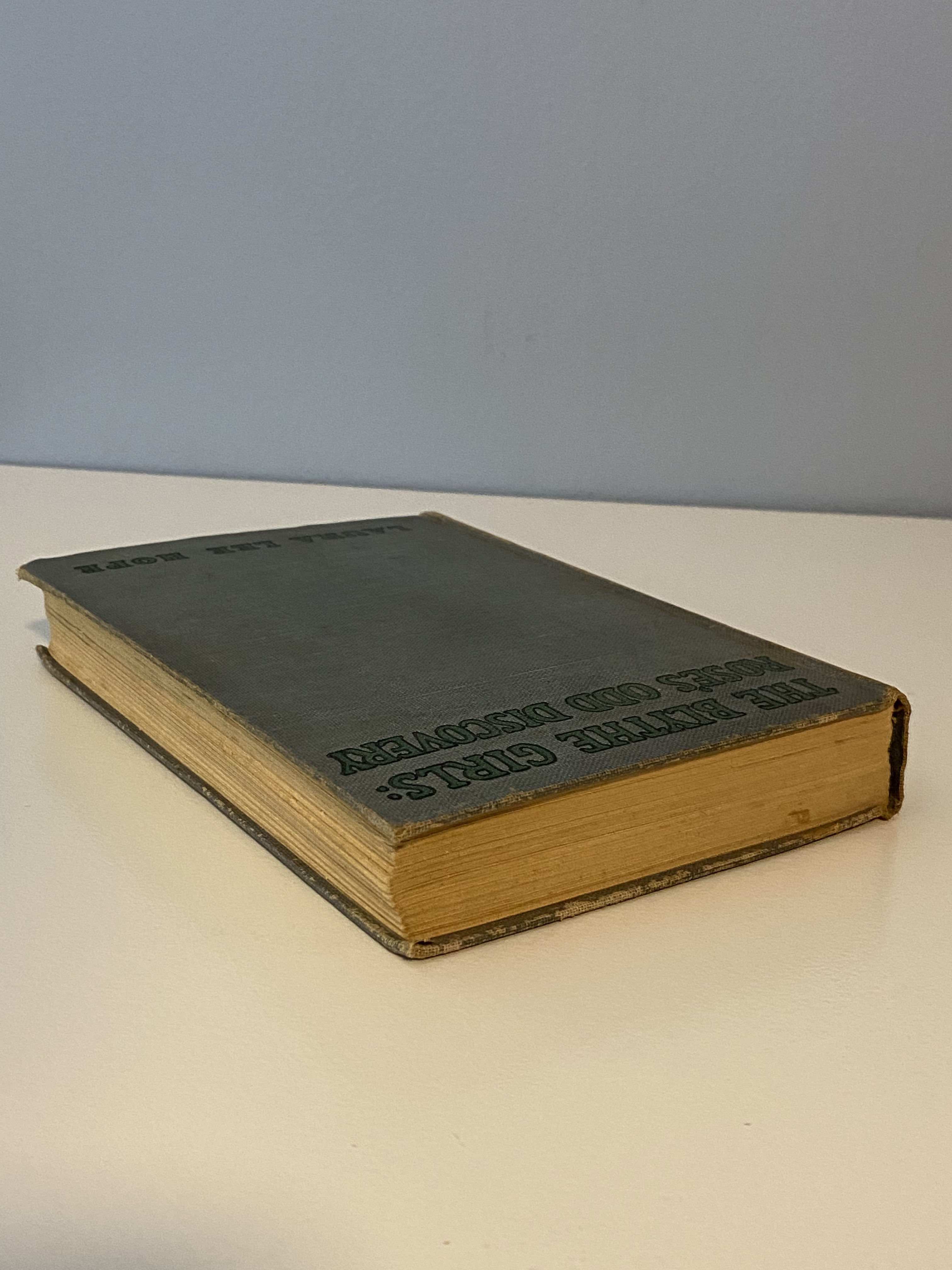 The Blythe Girls: Rose's Odd Discovery by Laura Lee Hope | | 1927 ...