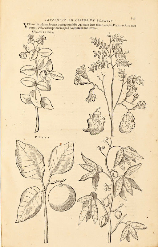 Historia naturalis Brasiliae, Auspicio et Beneficio Illustriss. I ...