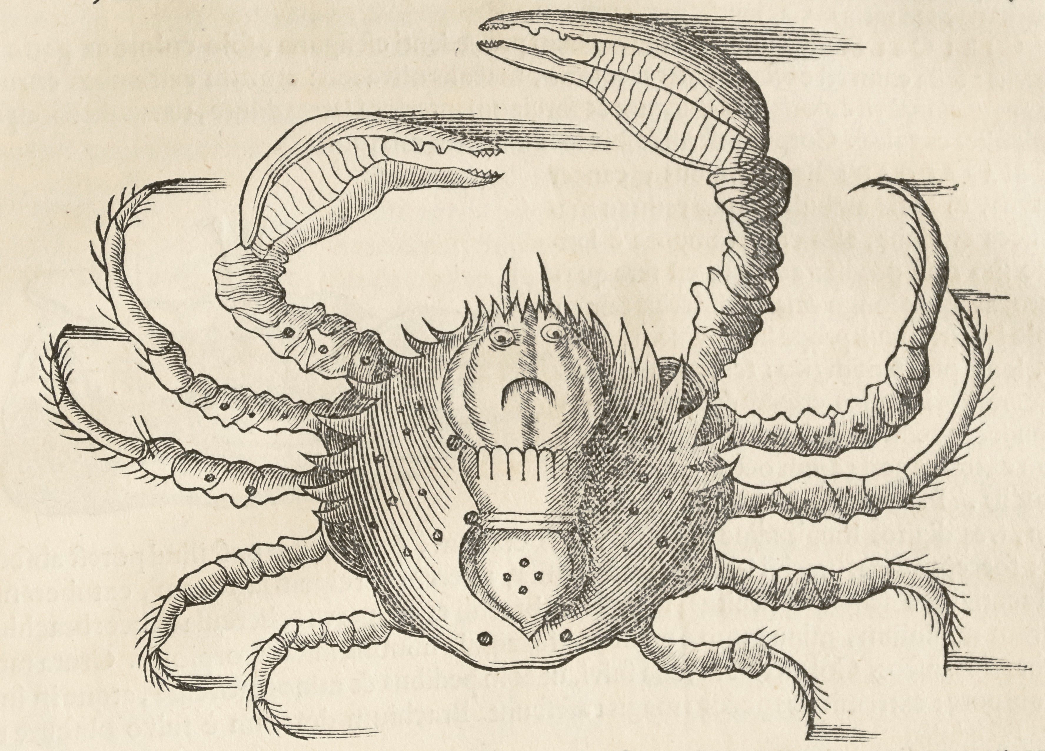 Historia naturalis Brasiliae, Auspicio et Beneficio Illustriss. I ...