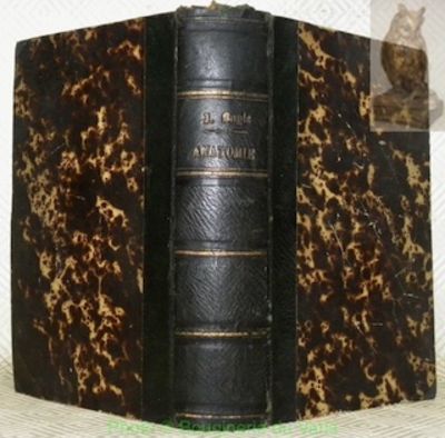 Trait l mentaire dÕanatomie ou description succincte des organes et des ...