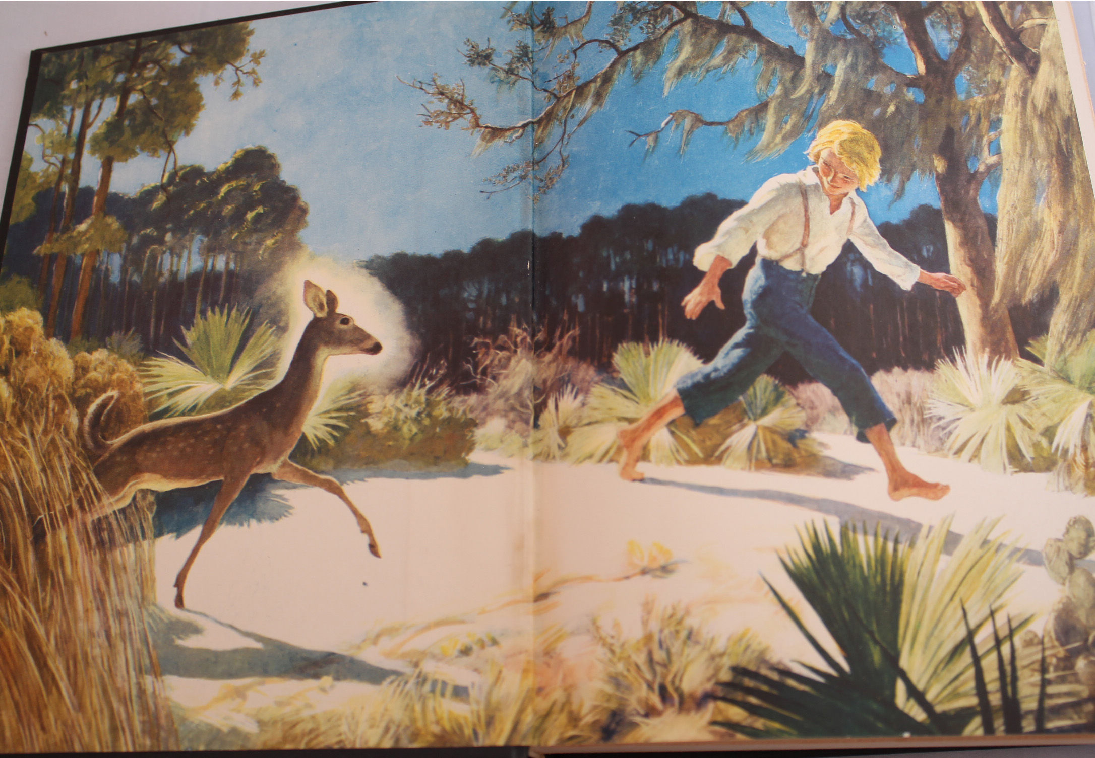 BIBLIO | The Yearling In original box. by Kinnan Rawlings, Marjorie ...