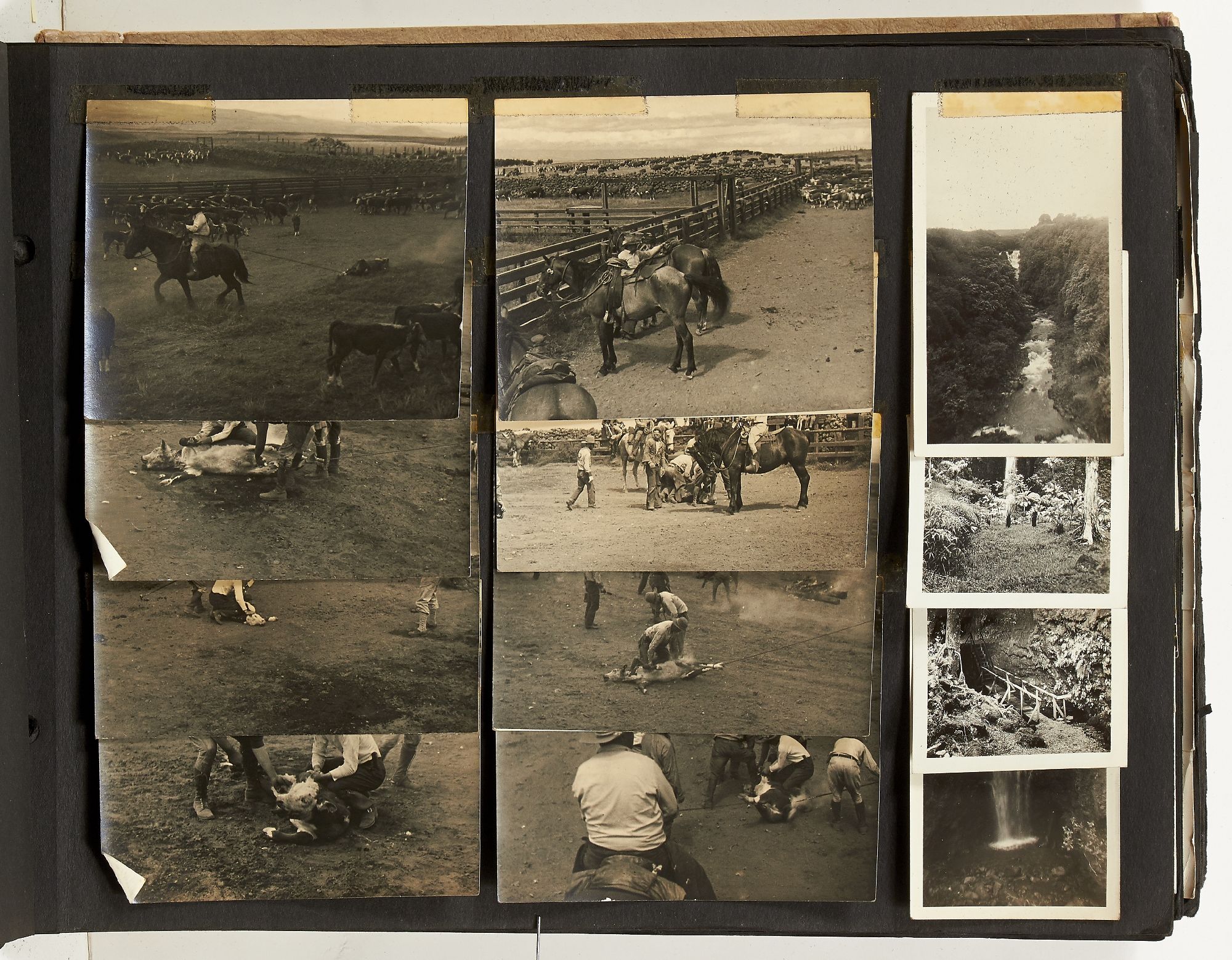 Muslimkids – De website voor de basiskennis van de Islam