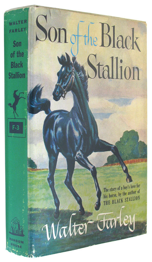 Son Of The Black Stallion