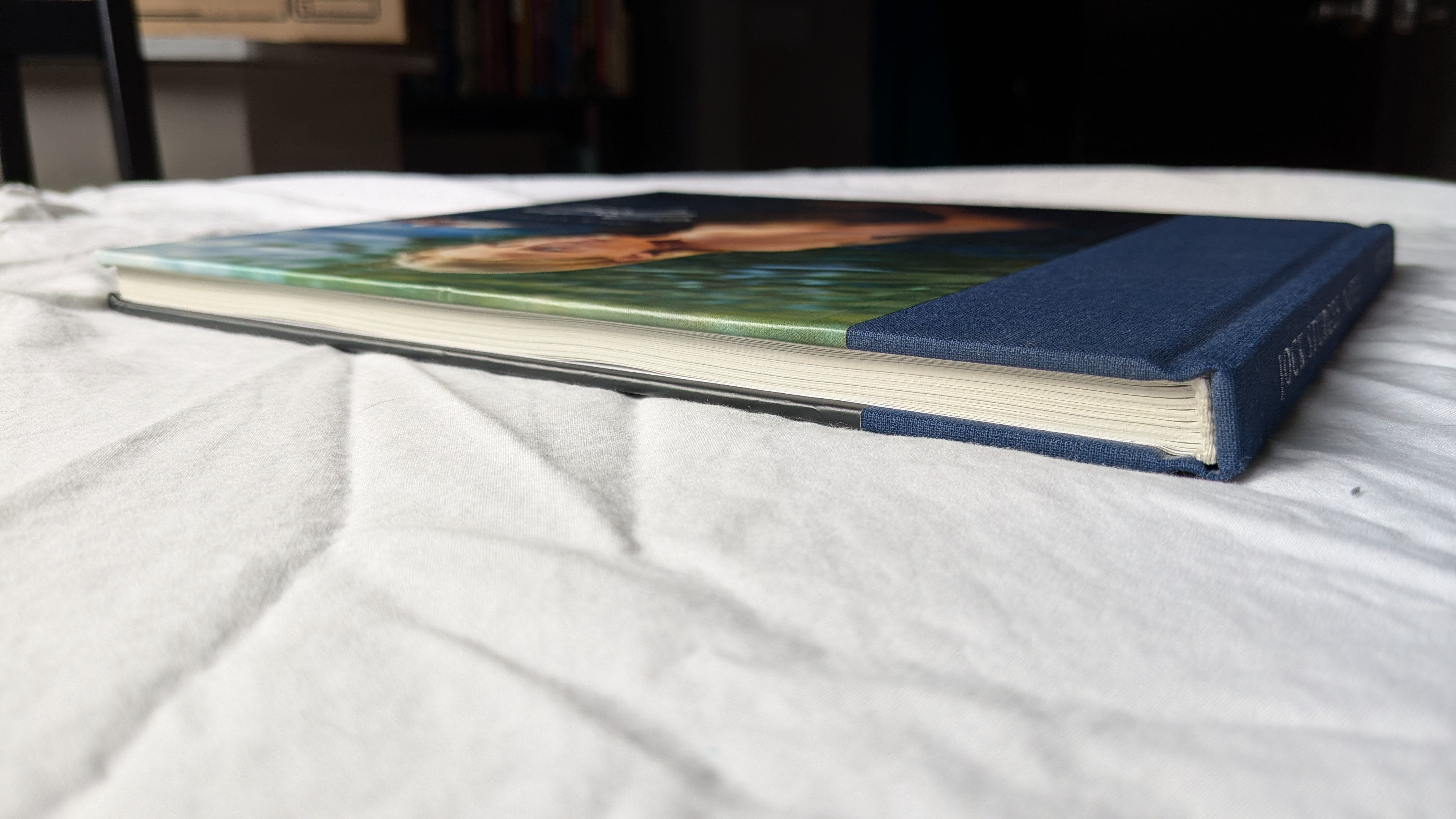 Jock Sturges: Notes by Jock Sturges | smyth sewn binding | 2004 ...
